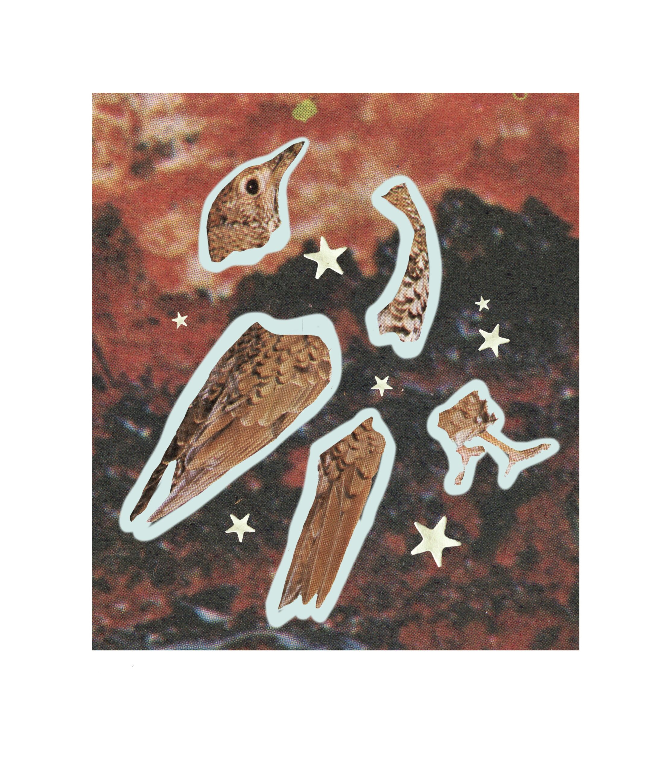 The Stages of Decomposition – Shelby Lee - ScratchThat Magazine