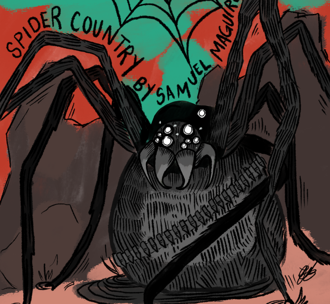 Spider Country – Samuel Maguire – ScratchThat Magazine